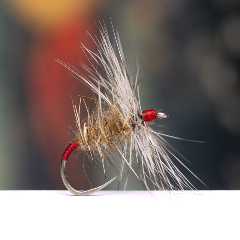 Futsu Kebari Light | 54 Dean Street Fly Shop